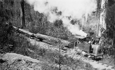 Railways of the Yarra Valley Nick Anchen